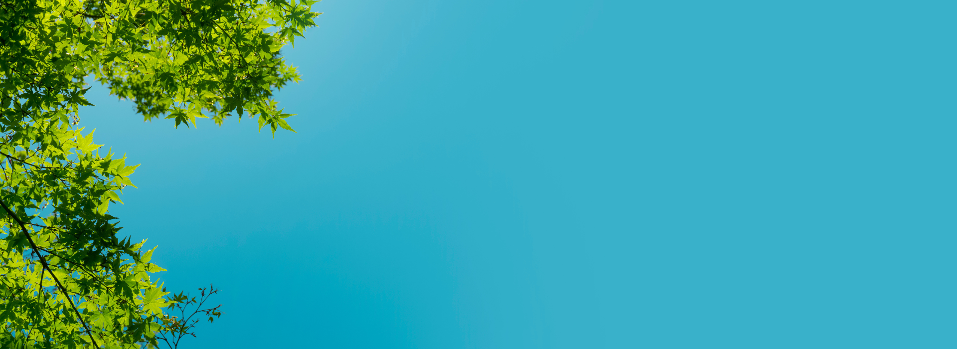 ESG Leadership | Bespak®